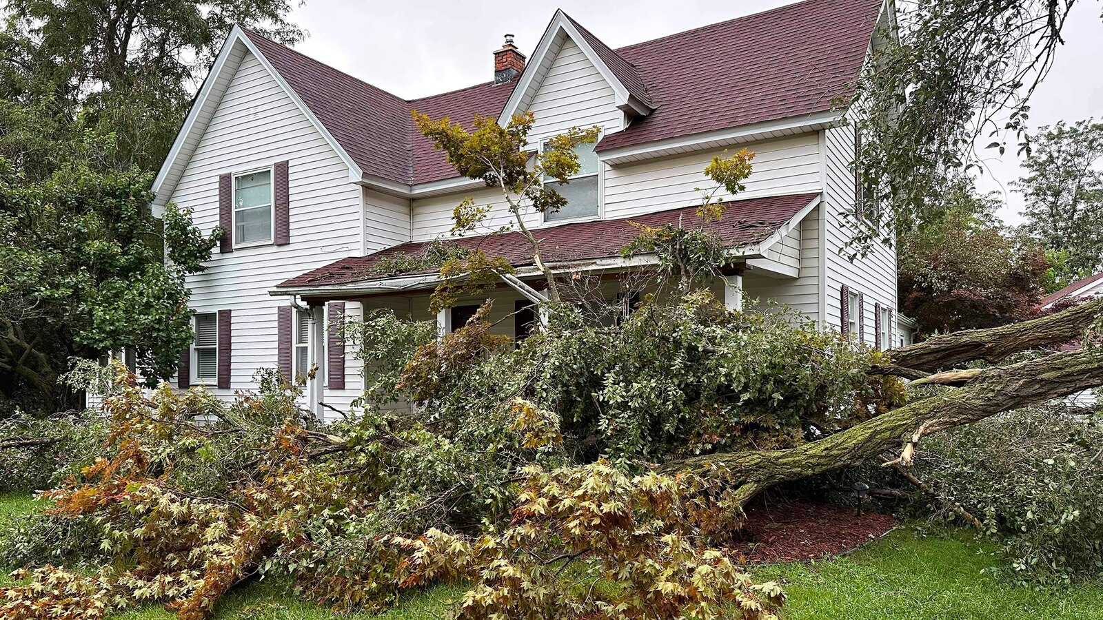 Deadly thunderstorms rip through Michigan, power knocked out to nearly ...