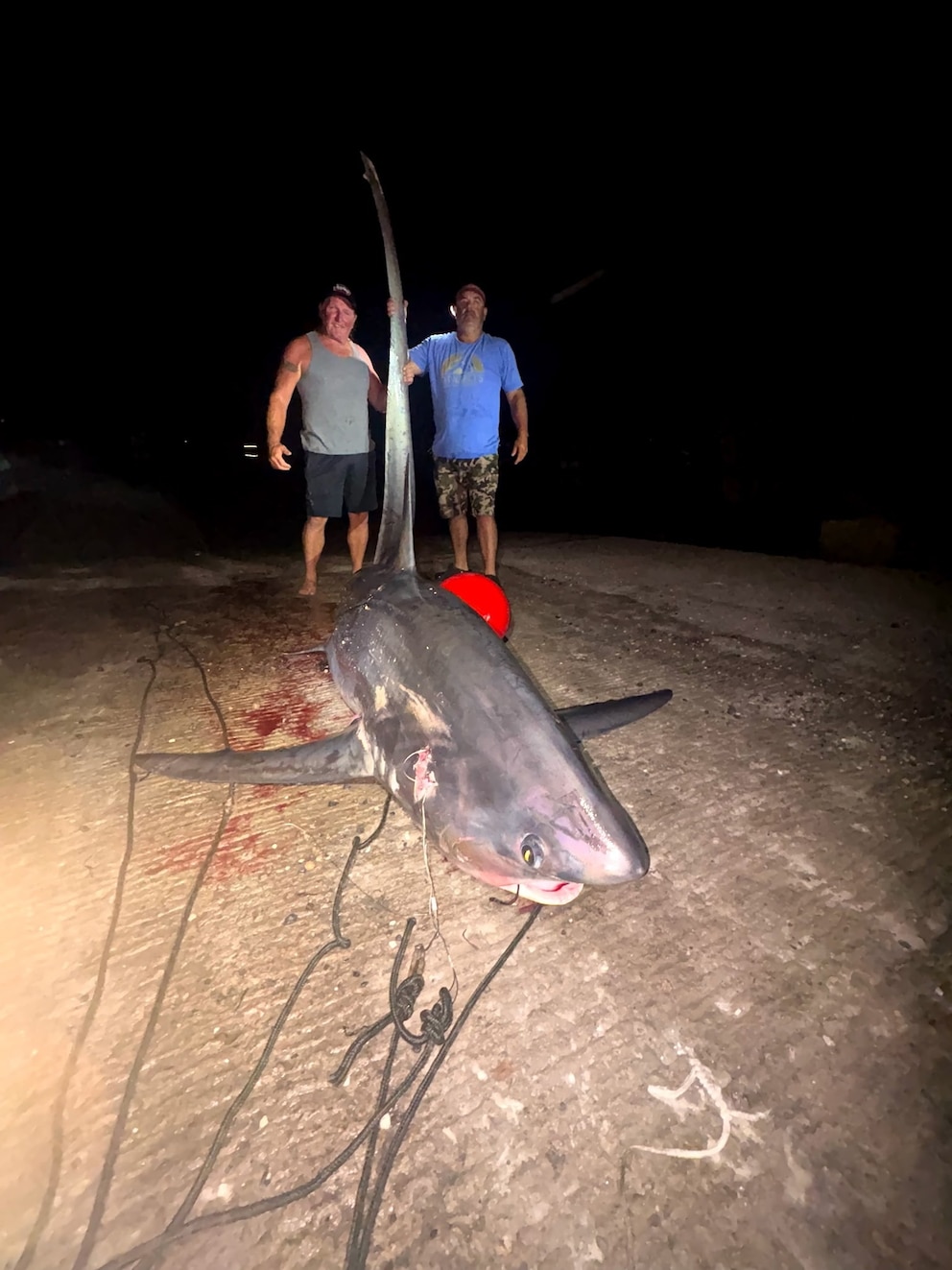 Massive shark caught off the Connecticut coast may break state record ...