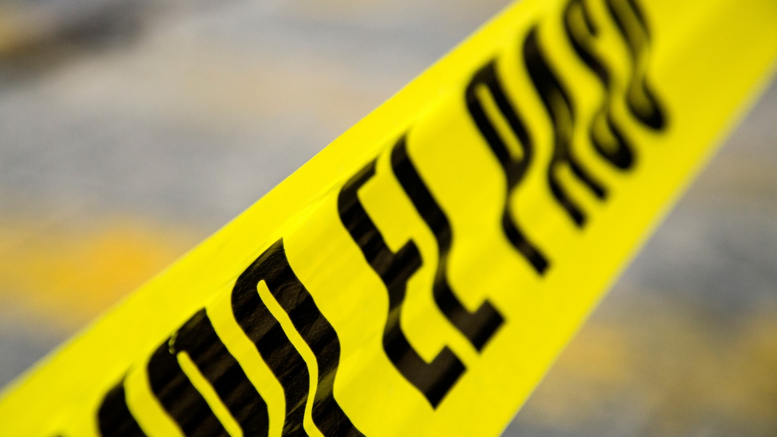 4 relatives, including 3 Americans, shot in Mexico; 3 adults dead ...