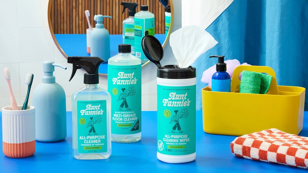 40 Boxes: Save up to 38% on Aunt Fannie's cleaners and more - Good ...