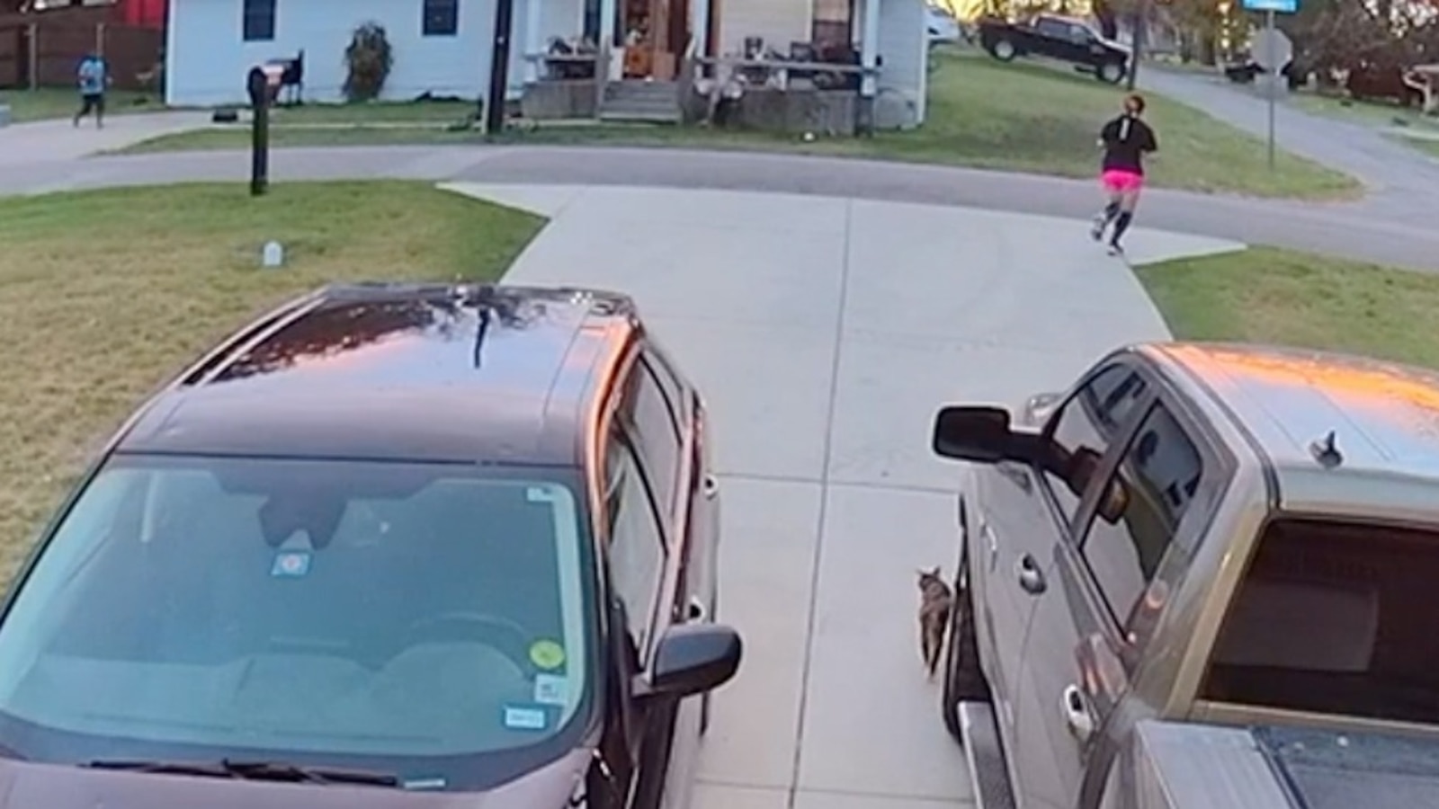Woman going for run gets hilariously interrupted by neighbor - ABC News