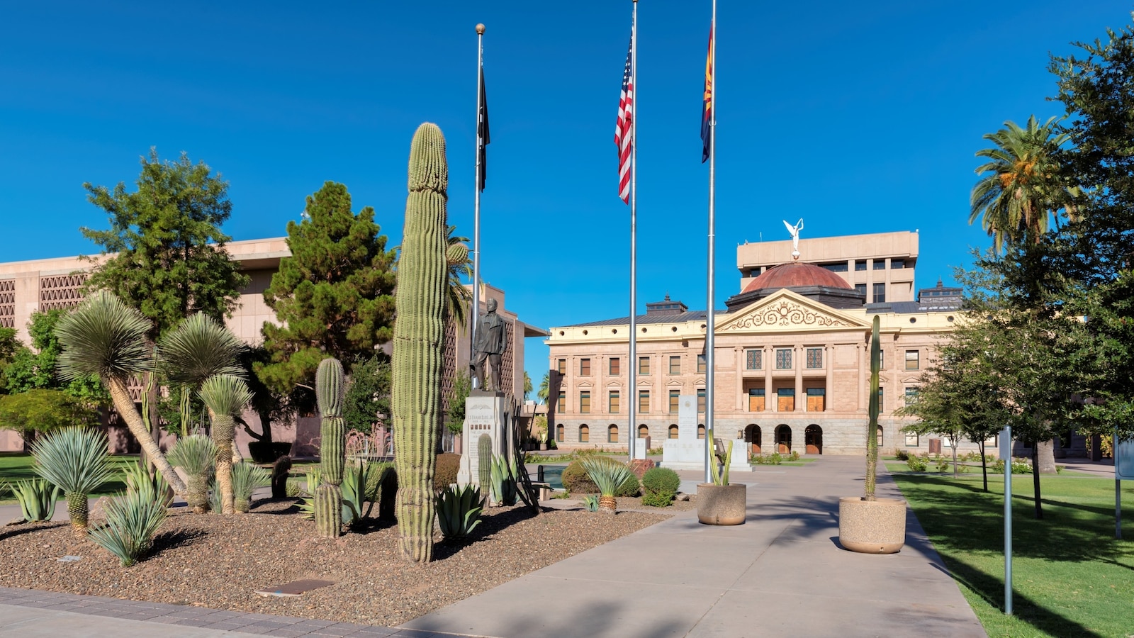 Arizona 2024 presidential primary results: Biden, Trump projected to ...