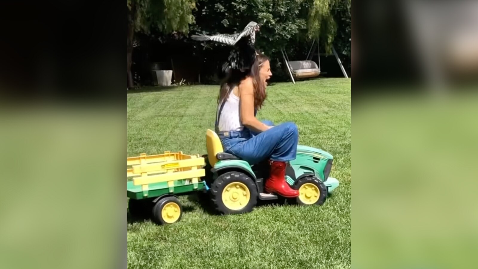 Jennifer Garner has surprise chicken encounter in post thanking farmers ...
