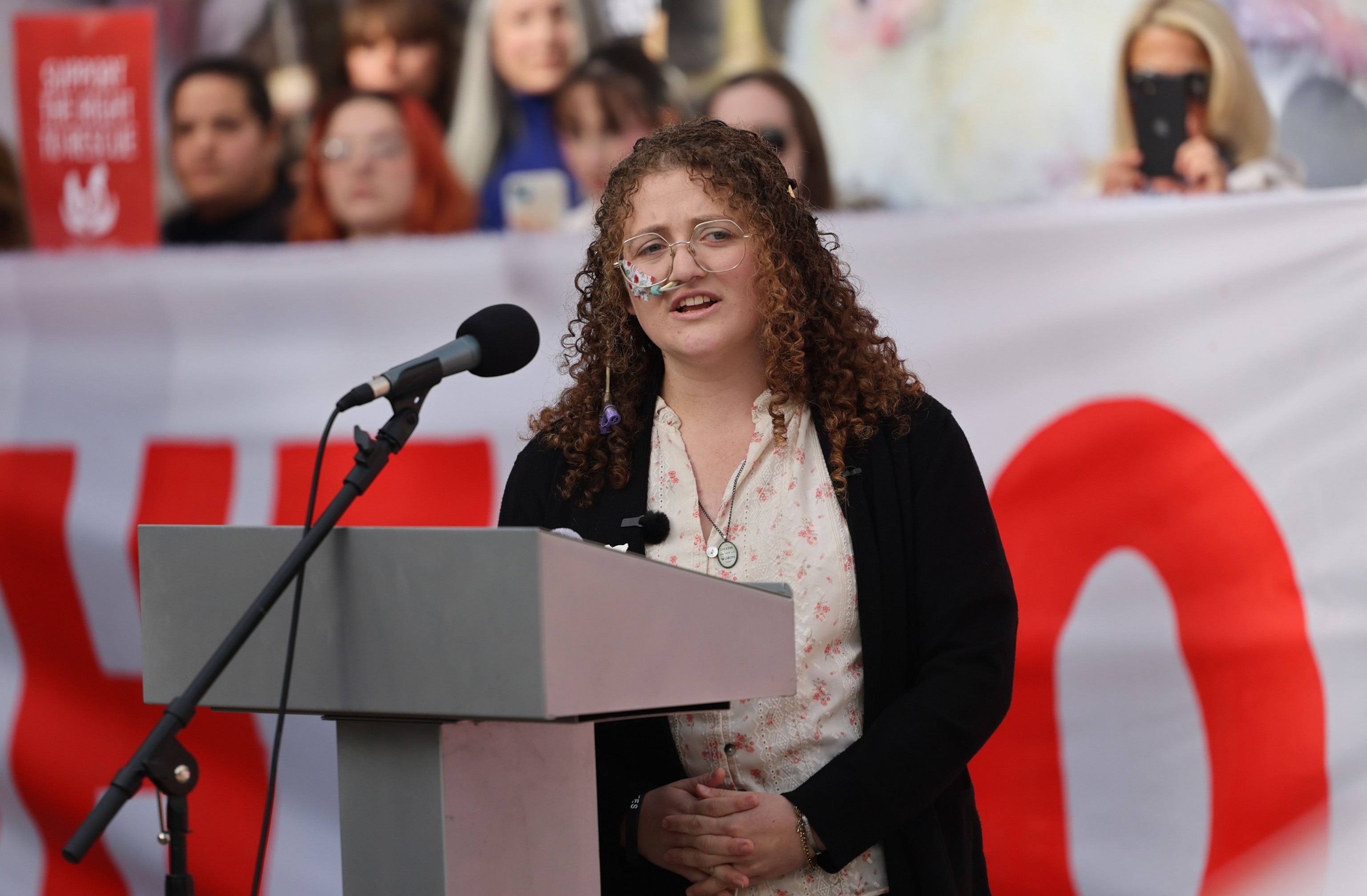 Animal rights activist sentenced to jail after stealing 4 chickens from ...