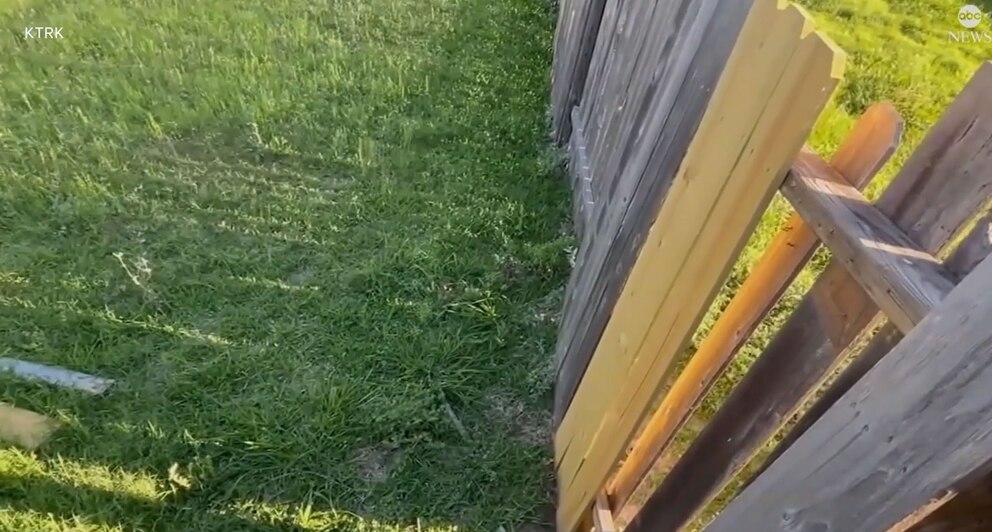 Man's dogs fatally maul woman, suspect arrested - Good Morning America