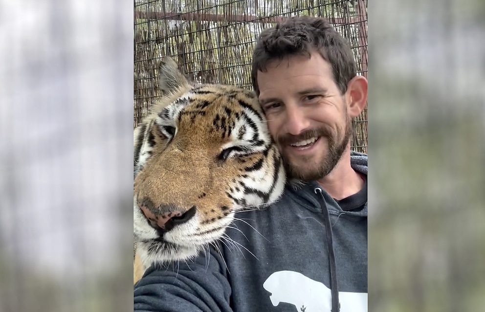Oklahoma animal handler attacked and killed by tiger during performance ...