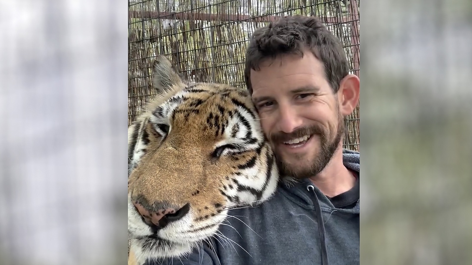Oklahoma animal handler attacked and killed by tiger during performance ...