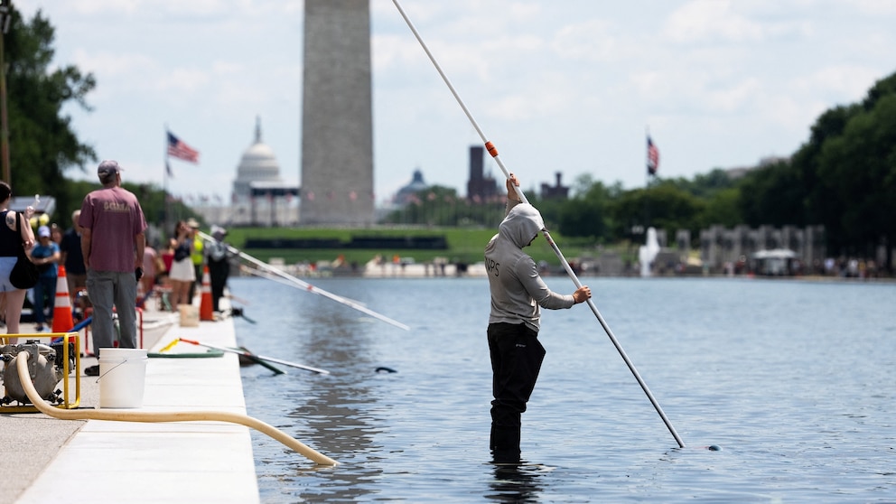 Olympian David Hearn arrested at Reflecting Pool says 'I did not damage ...