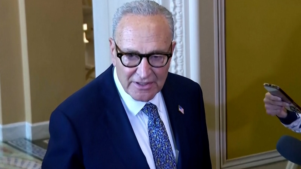 Video Schumer makes move to force Senate vote on releasing the Epstein files - ABC News