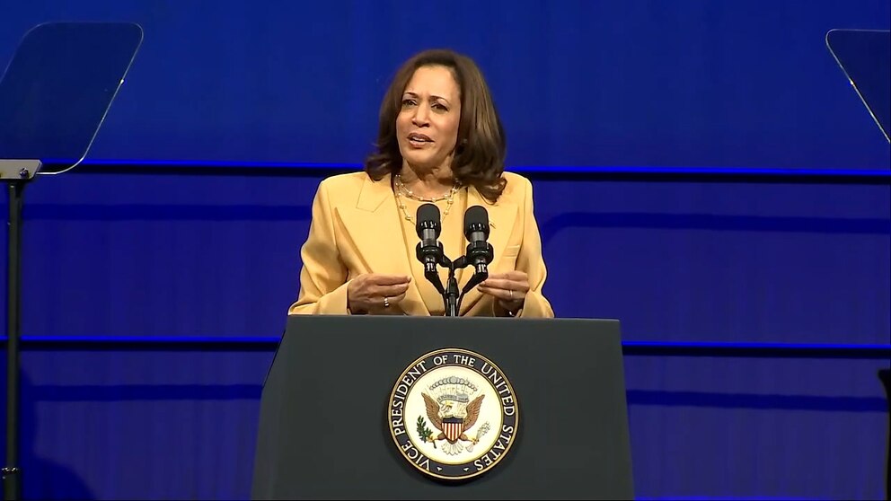 Video Harris rejects DeSantis' challenge on slavery - ABC News