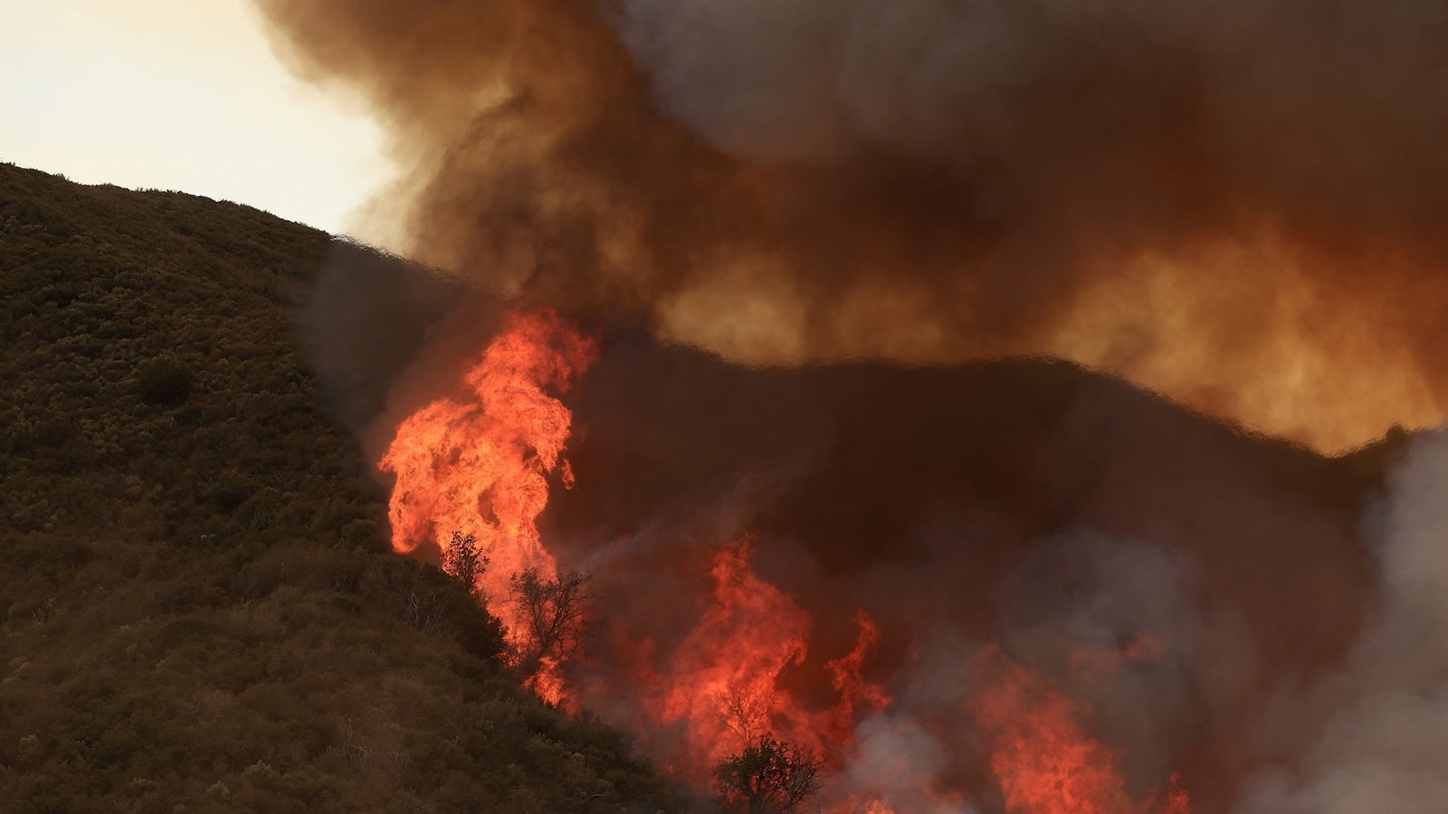Gifford Fire burns 83,000 acres, now the largest blaze in California this year - ABC News