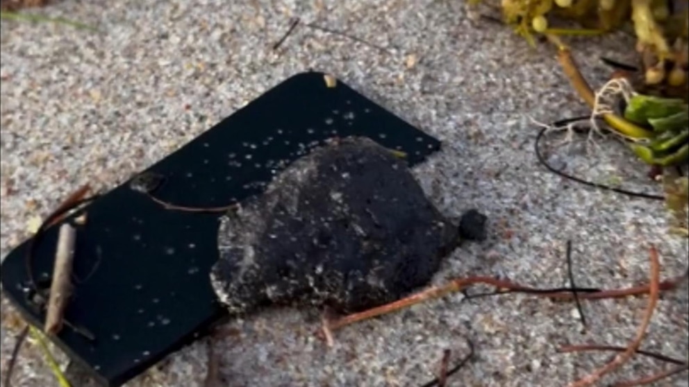 Video Tar balls wash up on Florida coastline - ABC News
