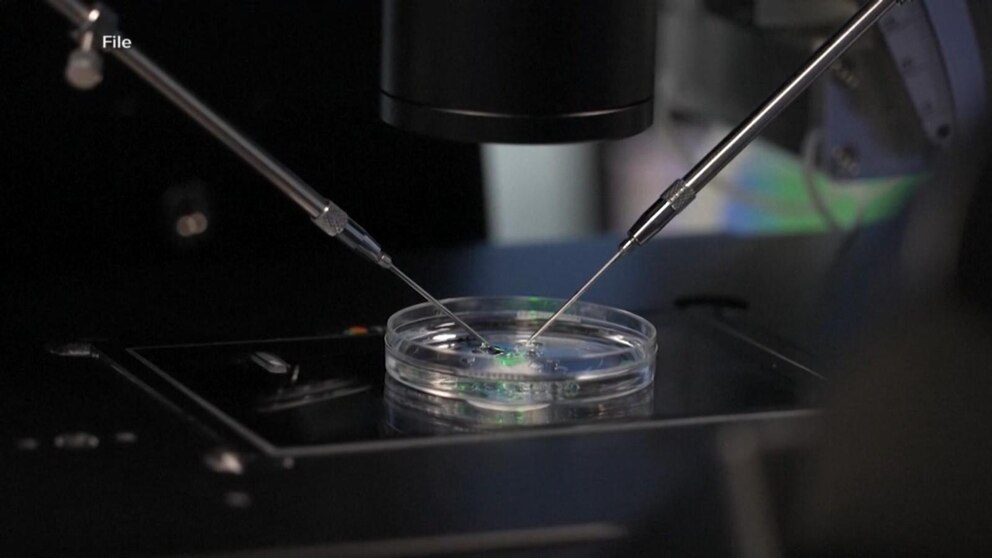 Video Fallout continues after Alabama frozen embryo ruling - ABC News Video Fallout continues after Alabama frozen embryo ruling - ABC News