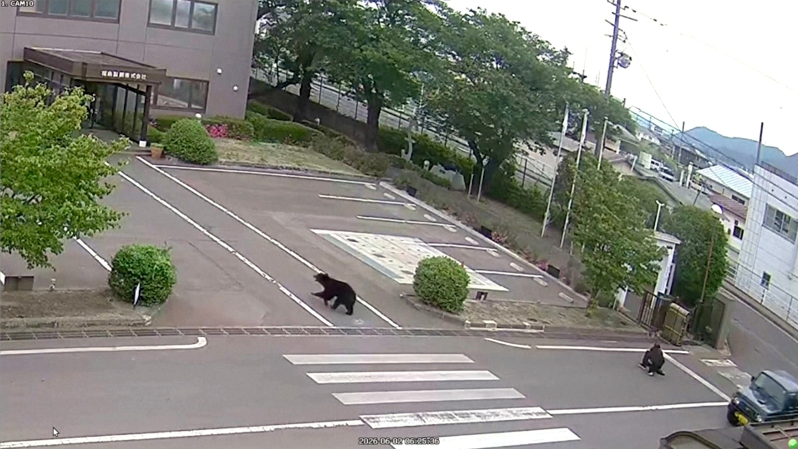 'Extremely intelligent' bear that attacked 4 escapes capture in Japan ...
