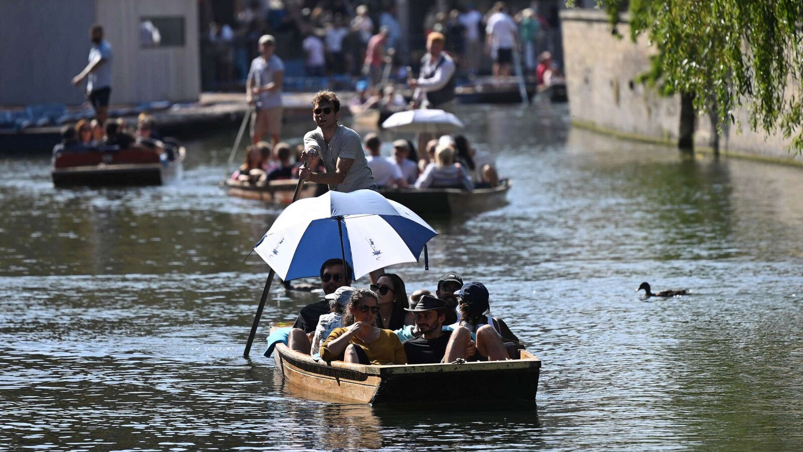 2023 on track to become warmest year on record: Copernicus report - ABC ...