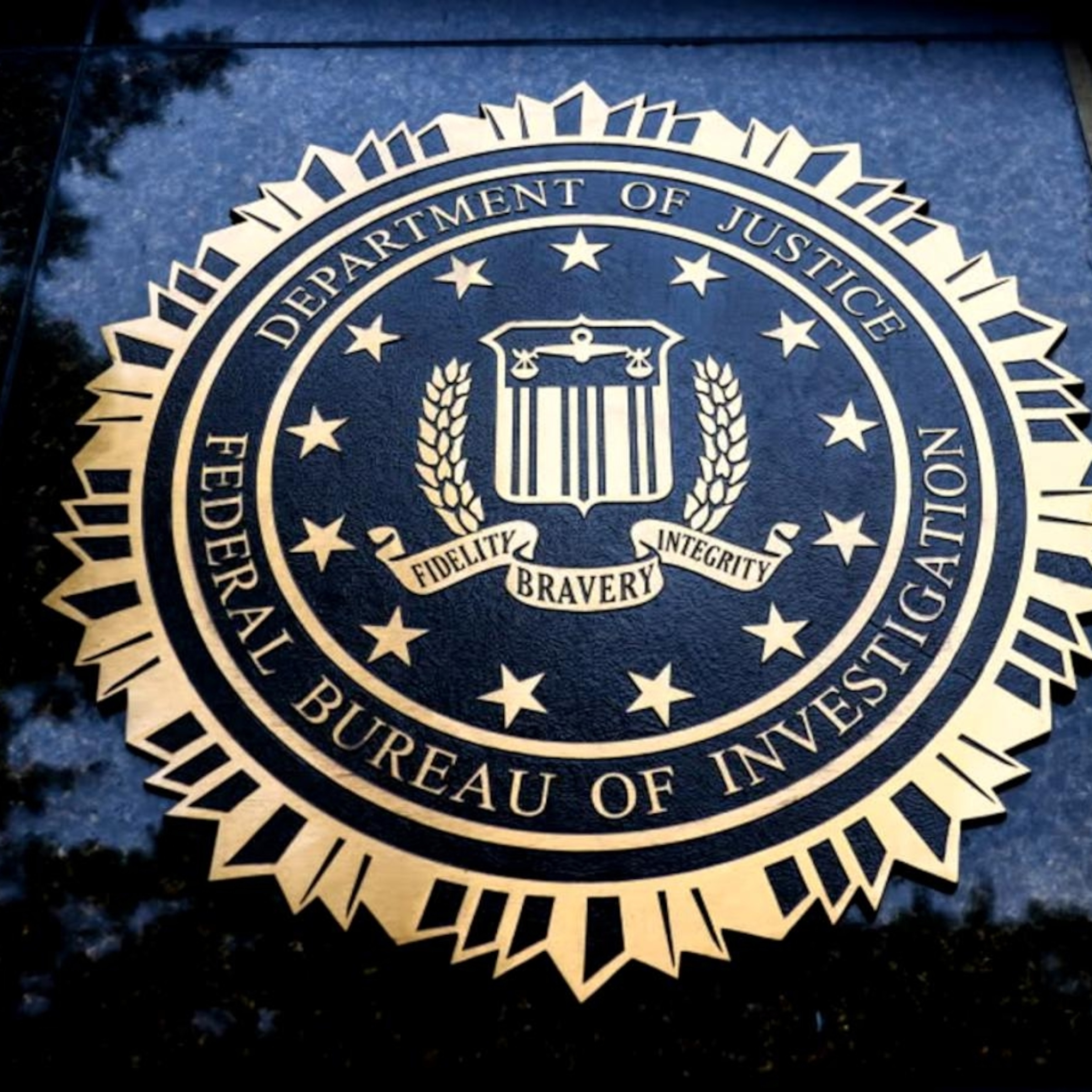 Fbi Logo