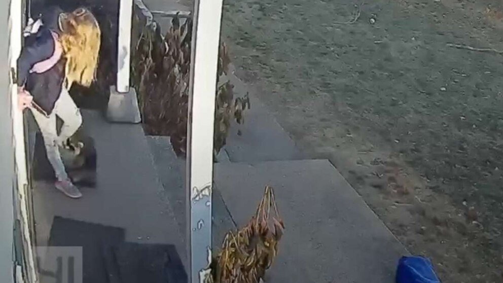 Mom describes rescuing daughter from raccoon attack - ABC News