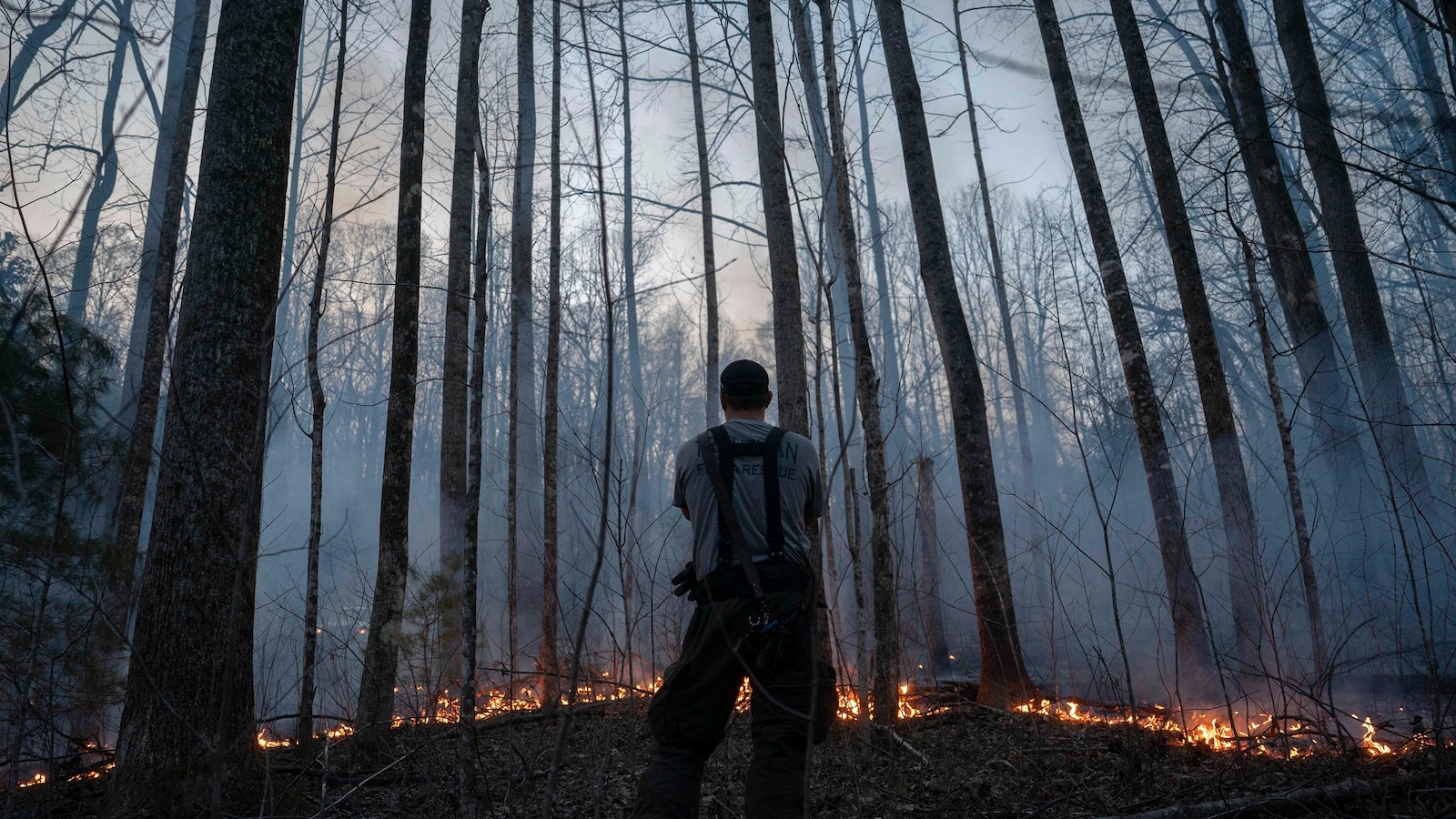 At least 11 homes destroyed in North Carolina wildfires, officials say ...