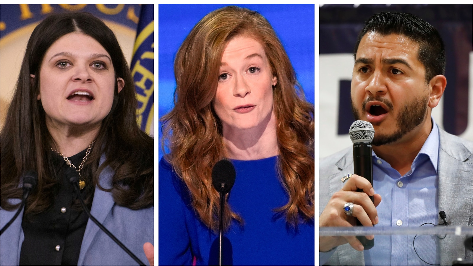 Michigan Democrats get a chance to make their case for the Senate and ...