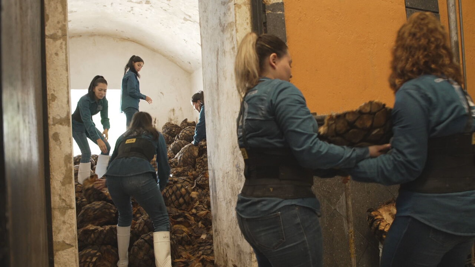 Meet the woman who runs Mexico's only female-owned and operated tequila ...