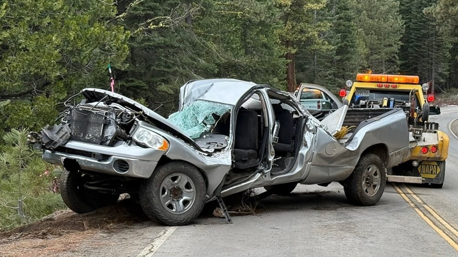 California driver and dog rescued after spending night trapped in ...