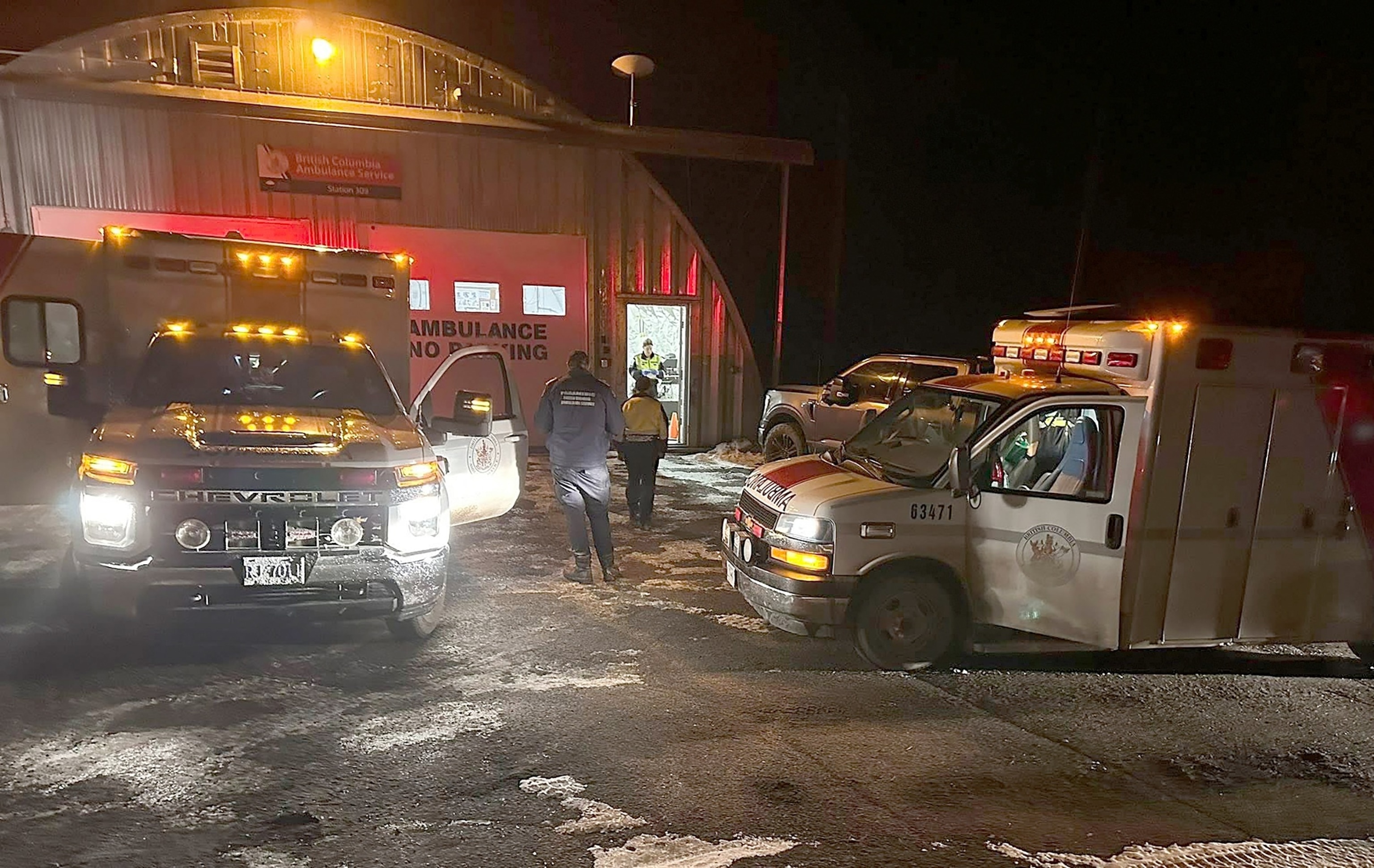 Grizzly bear attacks school group in Canada's British Columbia province ...