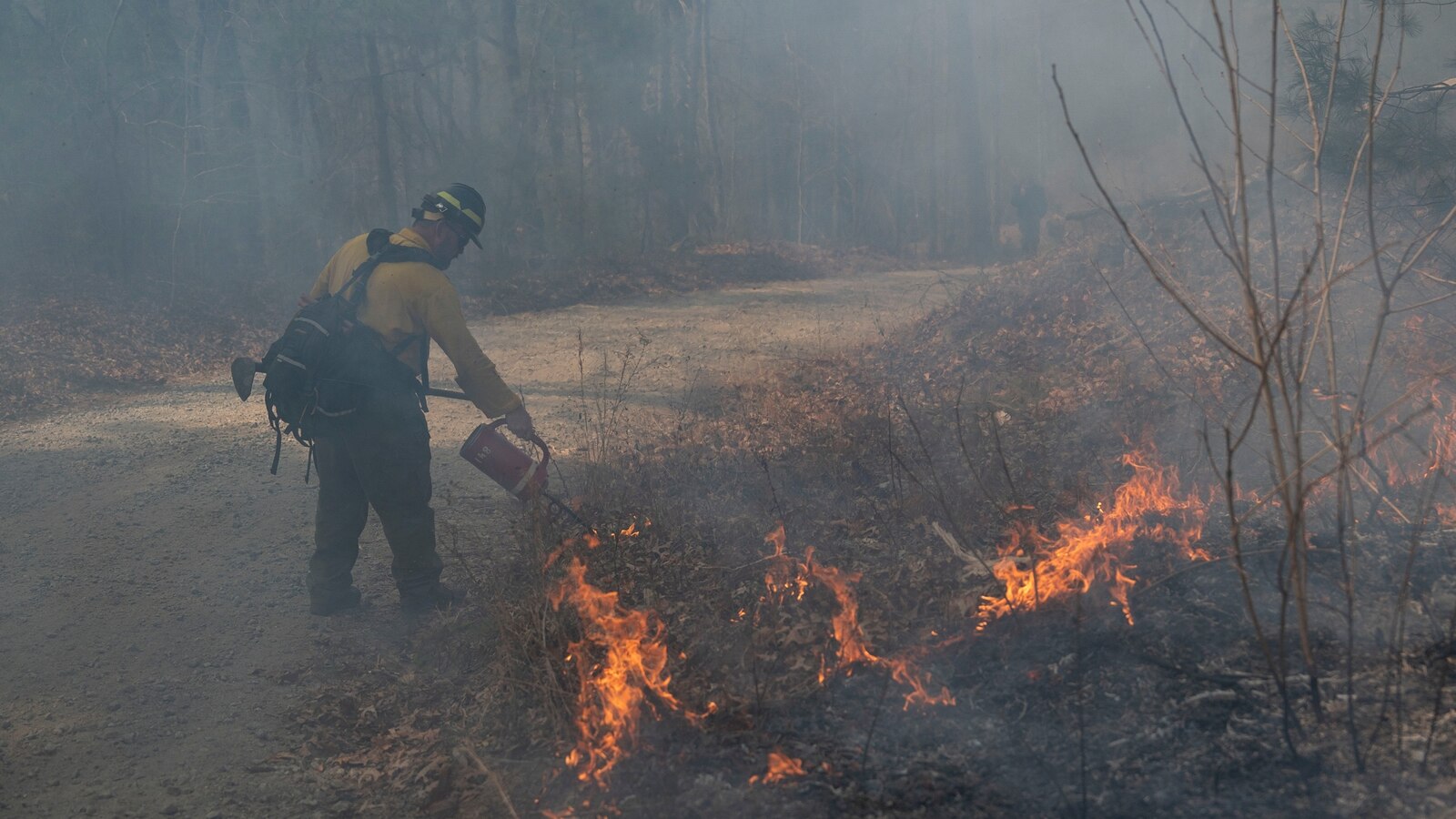 Carolina wildfires: High winds, low humidity significantly increase ...