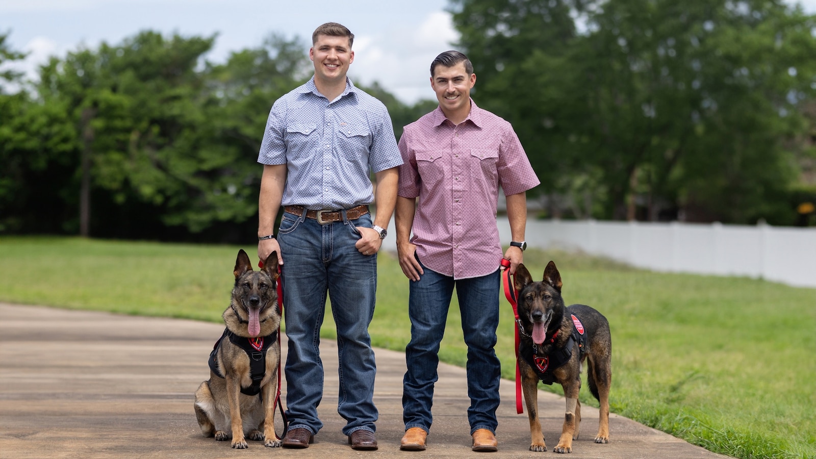 Retired military dogs reunite with their former Marine Corps handlers ...