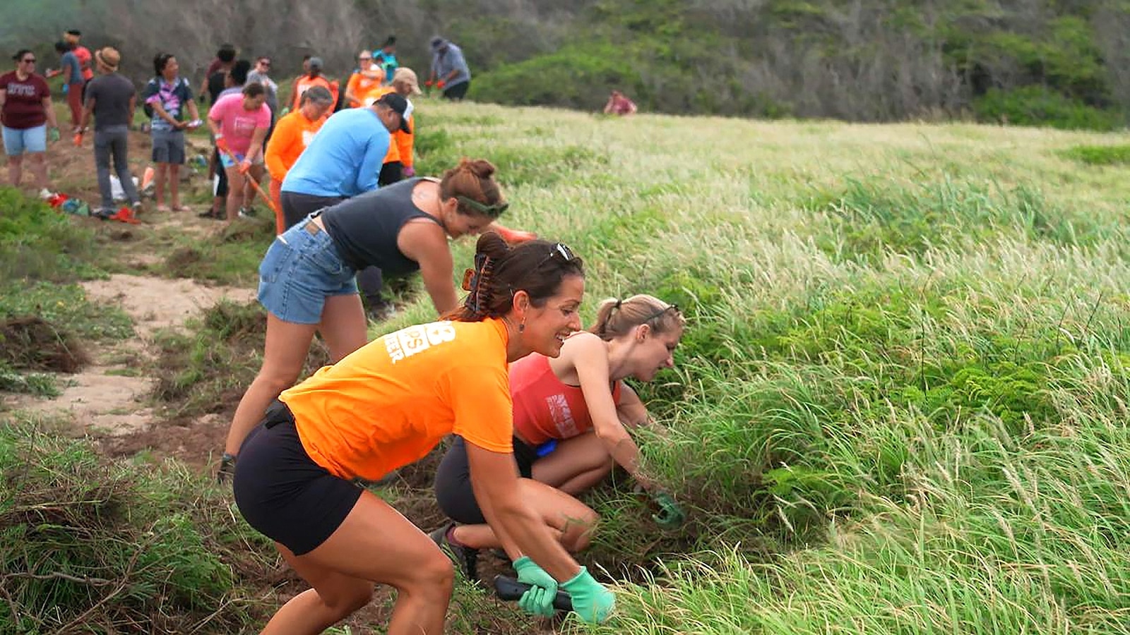Helping hands in Hawaii: Beyond the poolside Mai Tai - ABC News