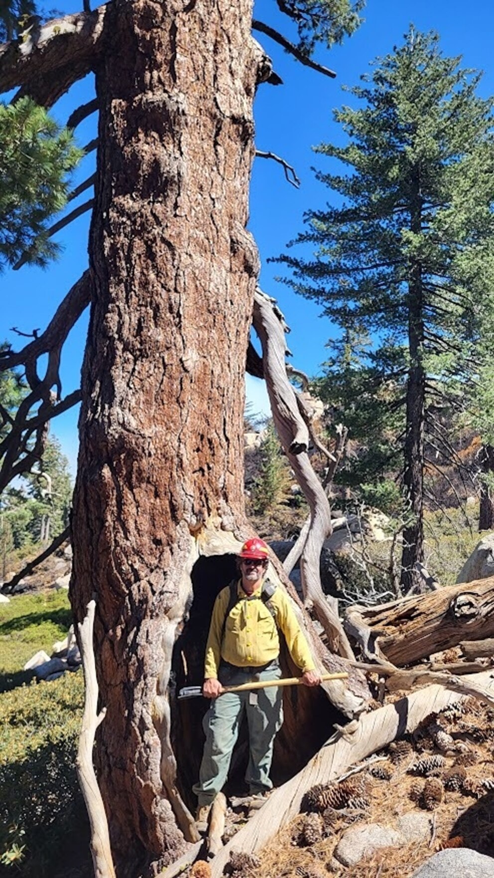 Fired US Forest Service and National Park Service workers say cuts will ...