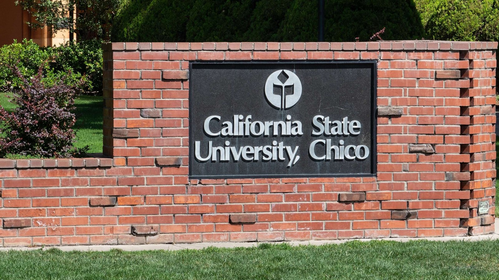 2 Greek organizations at Chico State under investigation due to hazing allegations - ABC News