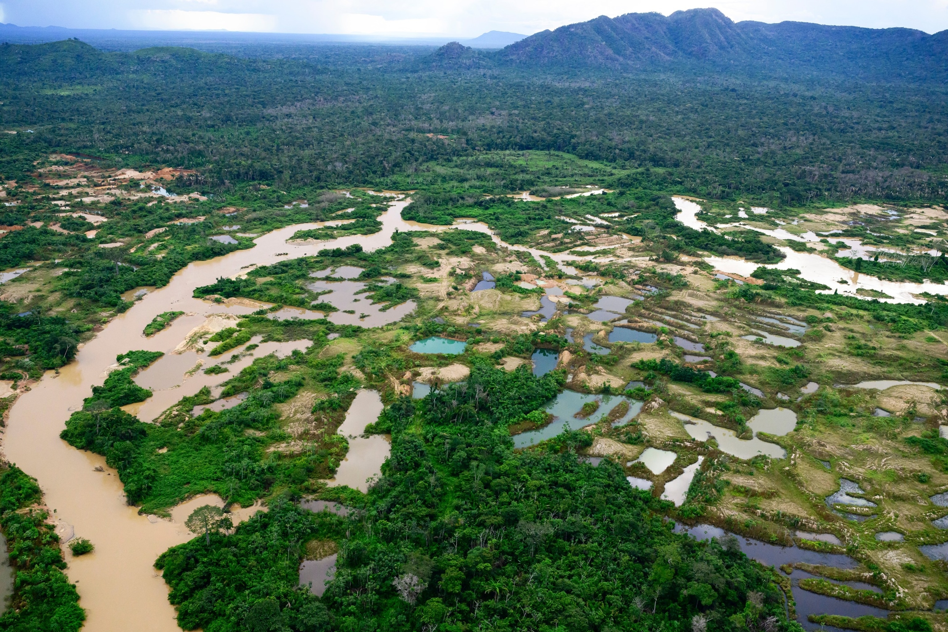 Shrinking forests are giving mosquitoes a greater taste for human blood ...