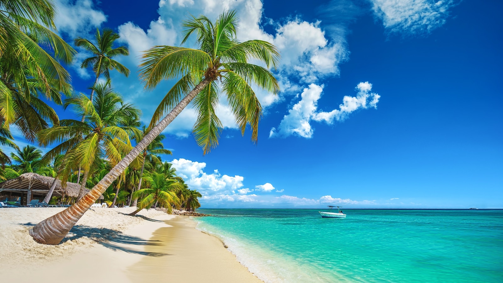 How to find early travel deals for spring, from flights to cruises ...