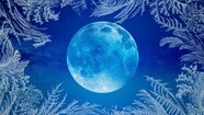 Beaver Moon Last Supermoon Of 2024 Is Here When To Watch November s Beaver Moon Last Supermoon Of 2024 Is Here When To Watch November s