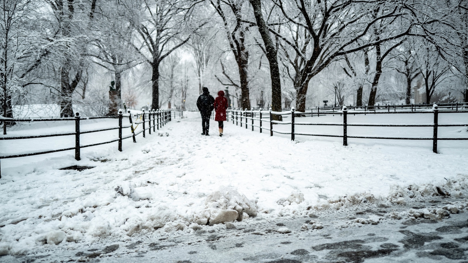 Winter storm live updates: New York City sees highest daily snowfall in ...