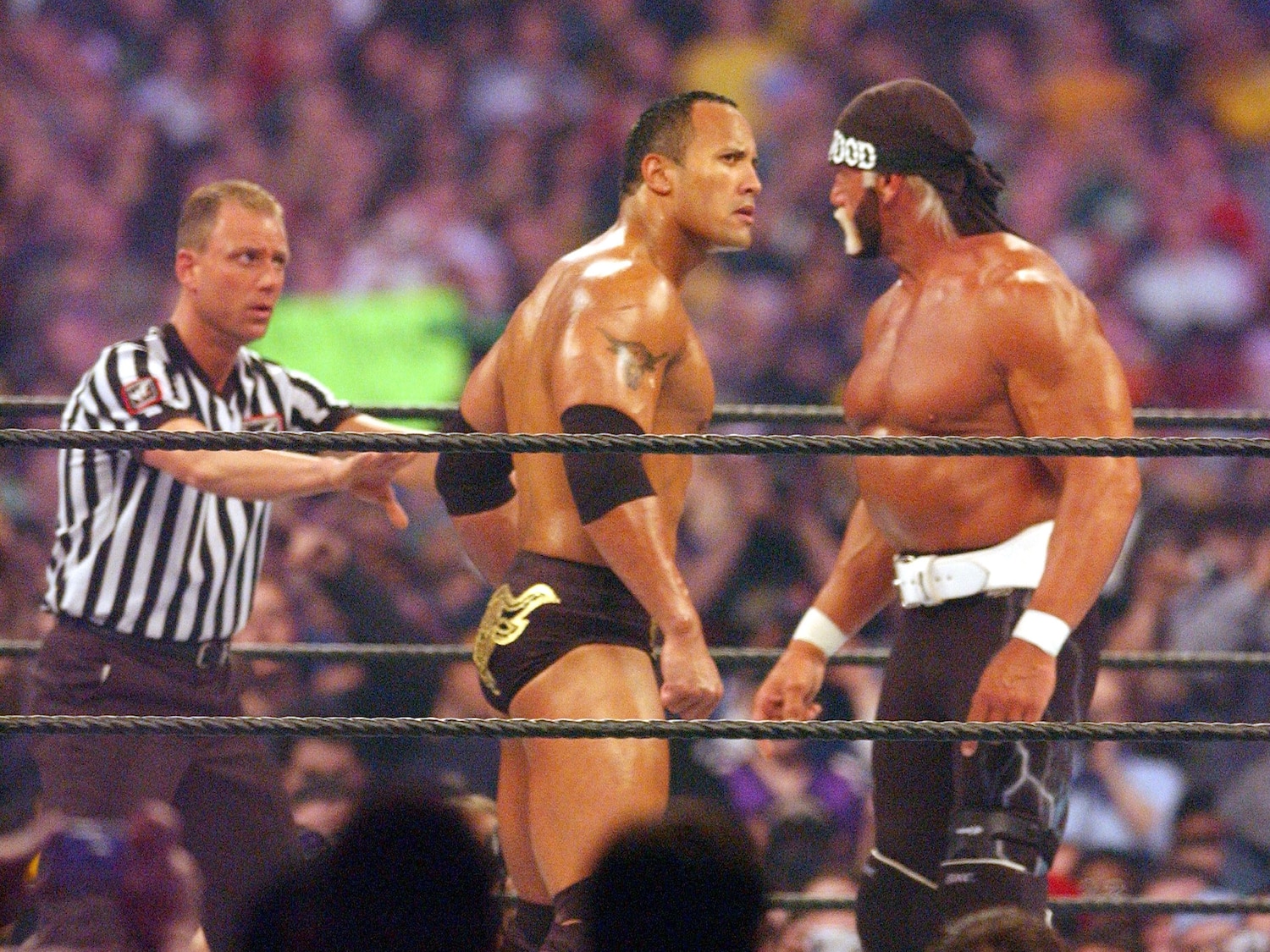 Hulk Hogan And Undertaker Friends