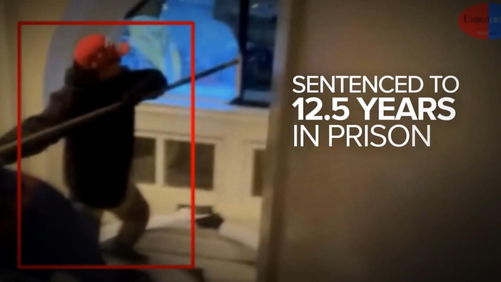 Video Jan 6 Rioter Who Used Stun Gun On Officer Sentenced Abc News