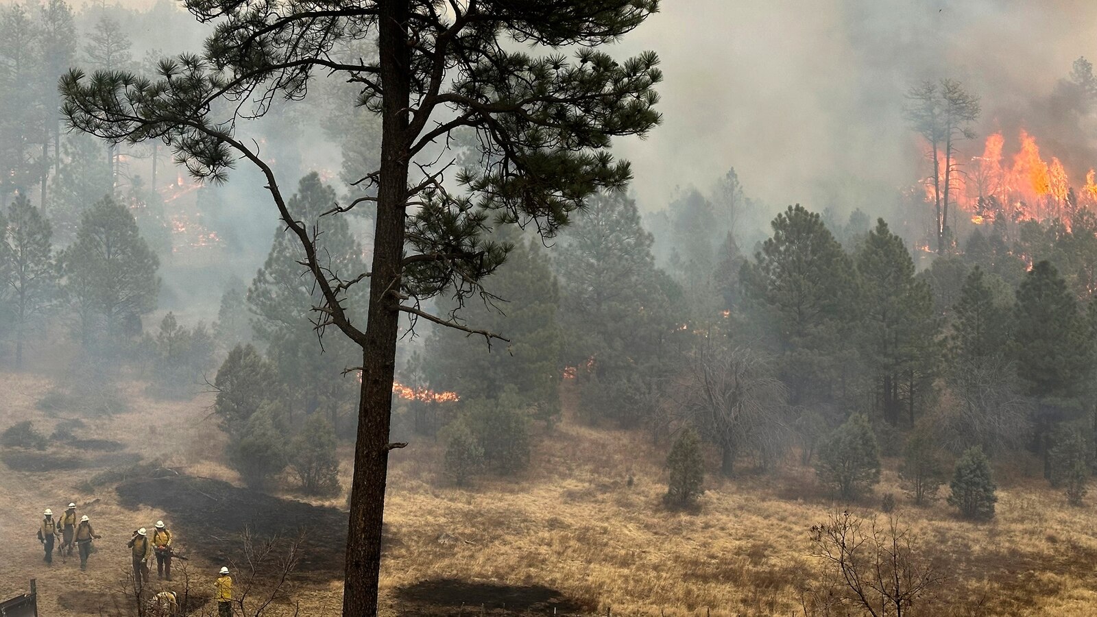 Wildfires erupt as strong winds continue to hit parts of the country ...