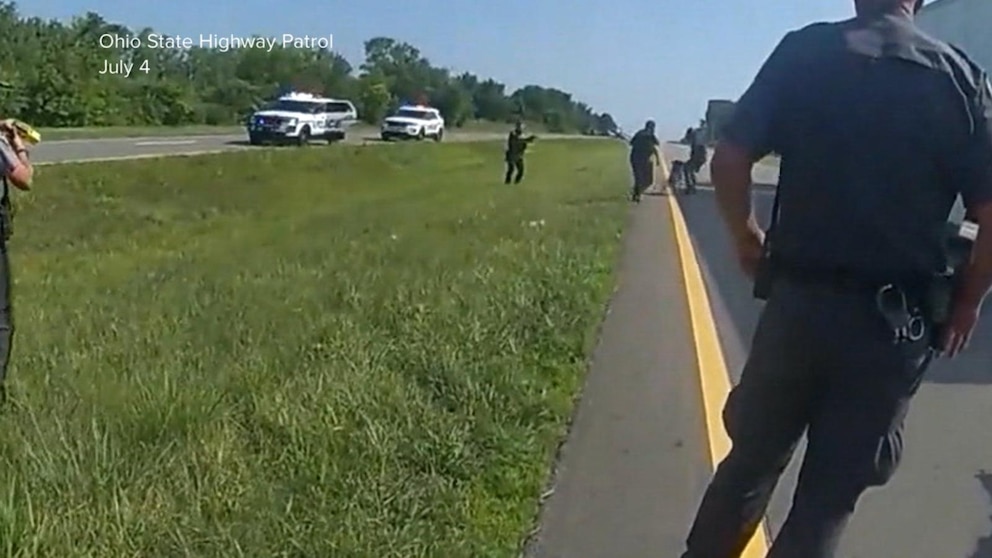 Video Police K9 attack victim speaks out - ABC News