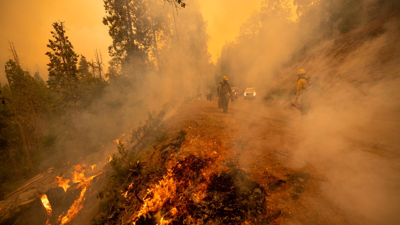 Frequency and magnitude of extreme wildfires have doubled in last 20 ...