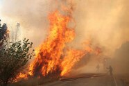 Record breaking Wildfires Have Occurred All Over The Northern Record breaking Wildfires Have Occurred All Over The Northern