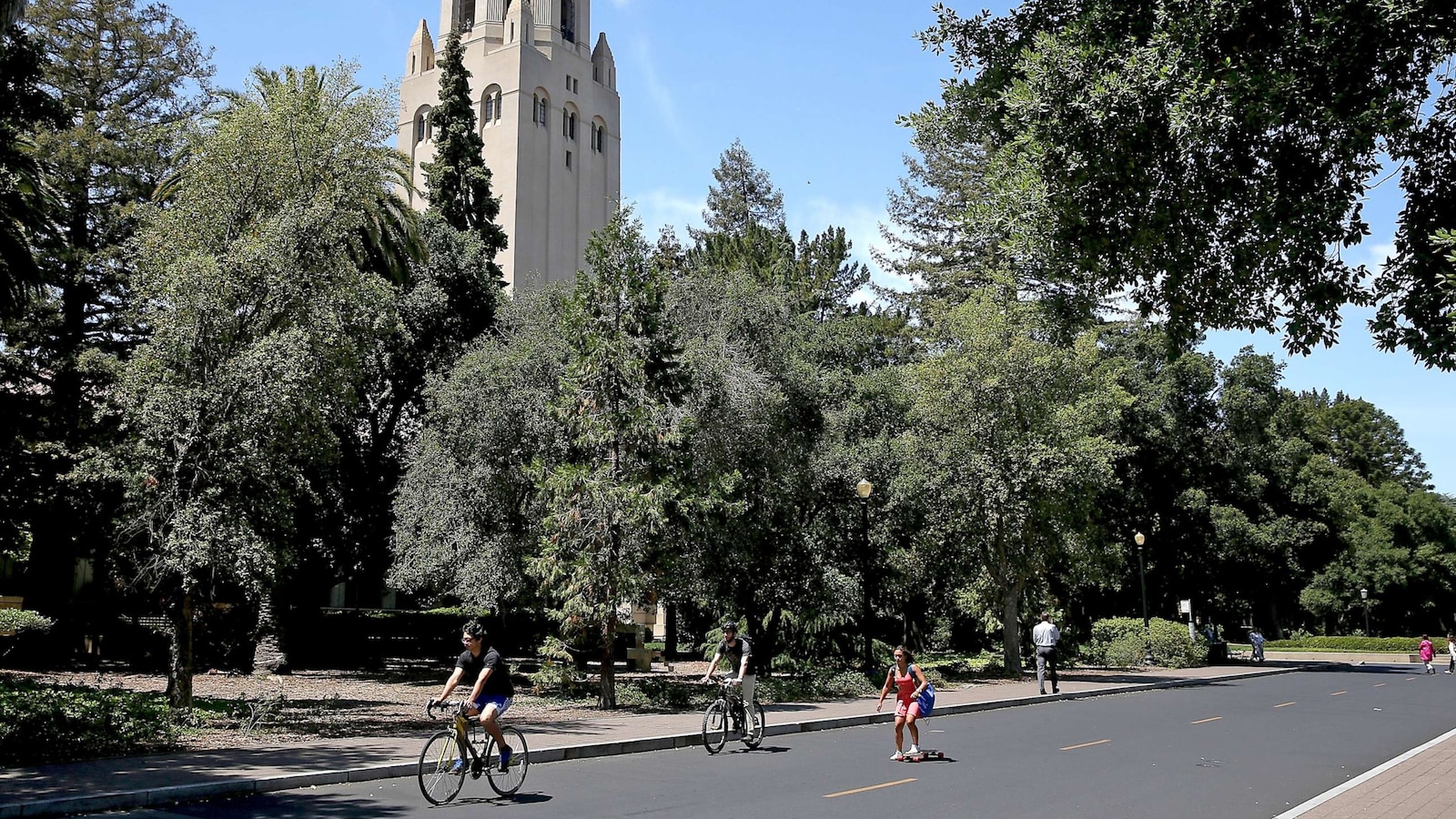 Stanford removes alleged imposter student from campus - ABC News