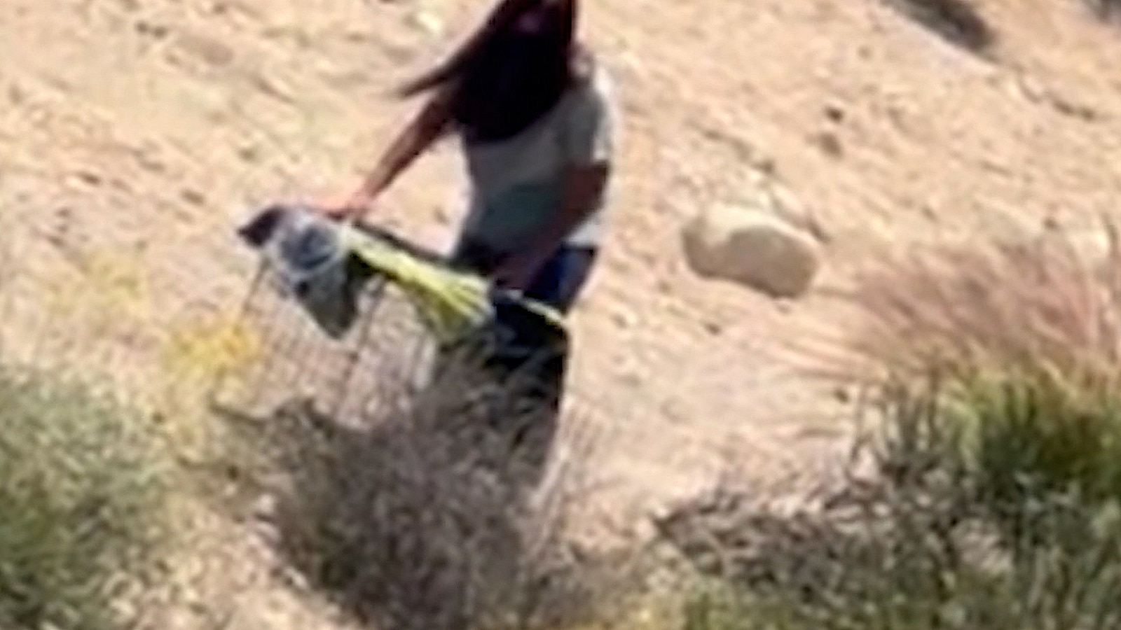 Good Samaritan speaks out after stopping couple from 'dumping' kittens ...