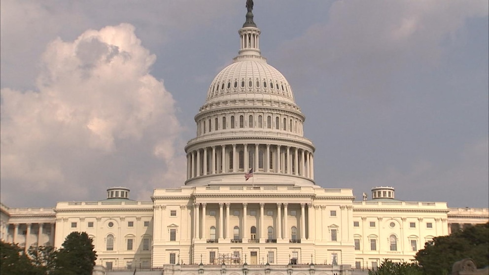 Video The Big Story: federal government cuts - ABC News