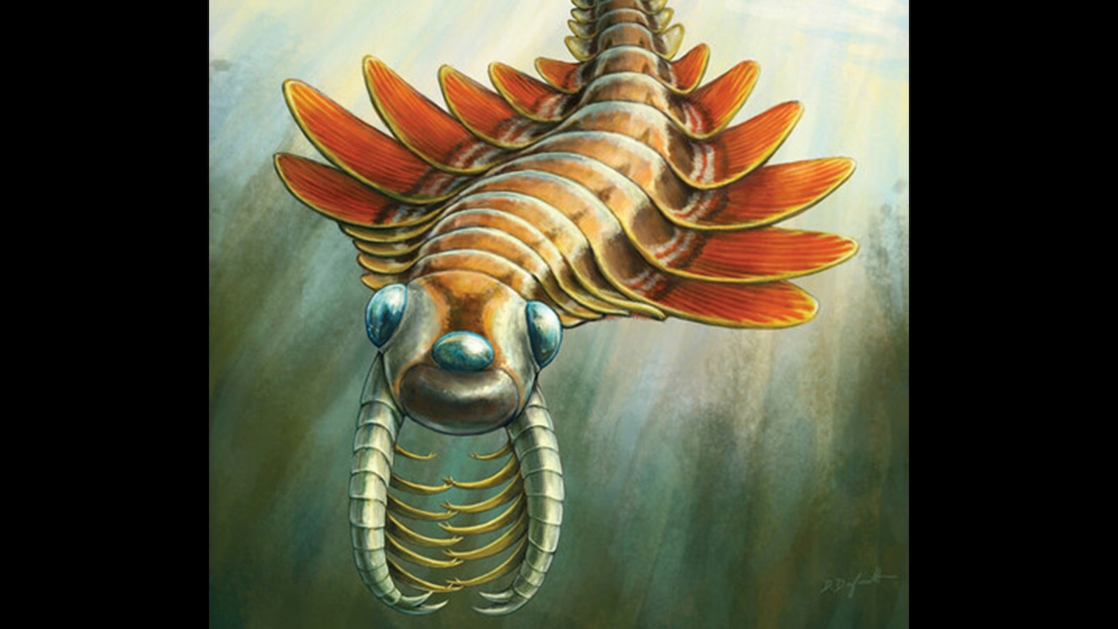 What paleontologists learned from fossils of a 3-eyed predator that ...