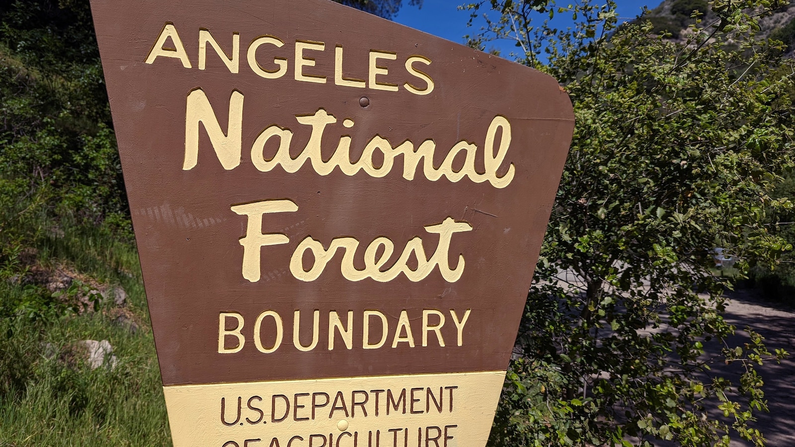 Husband of California woman found dead in forest fled to Peru ...