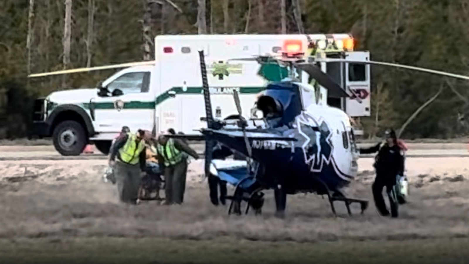 2 hikers injured in bear attack at Yellowstone National Park - ABC News
