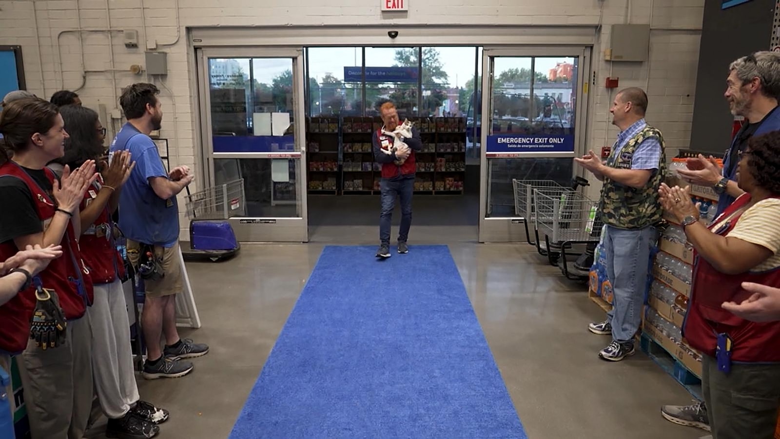 Beloved Lowe's store cat reunited with staff after 2-week search - ABC News