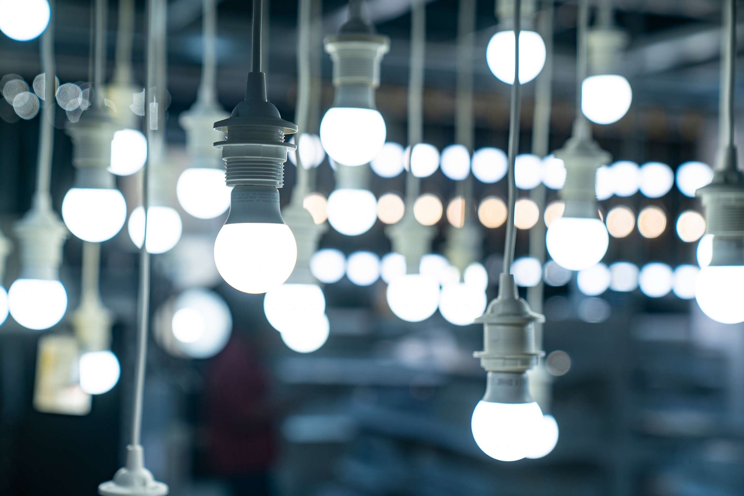 Ban Of Incandescent Light Bulbs