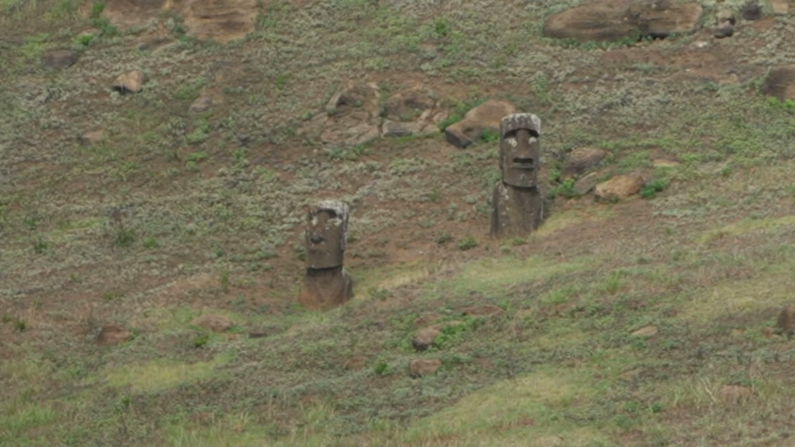 'GMA' gets 1st look at new moai statue found on Easter Island - ABC News